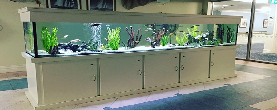Effortless Aquaria - Sydney Aquarium Installation Maintenance and ...